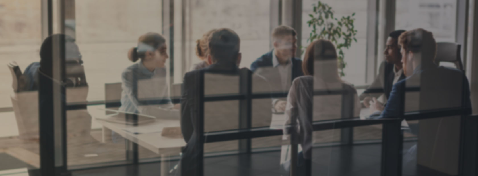 Experienced GCC Team, Company Setup & Corporate Governance